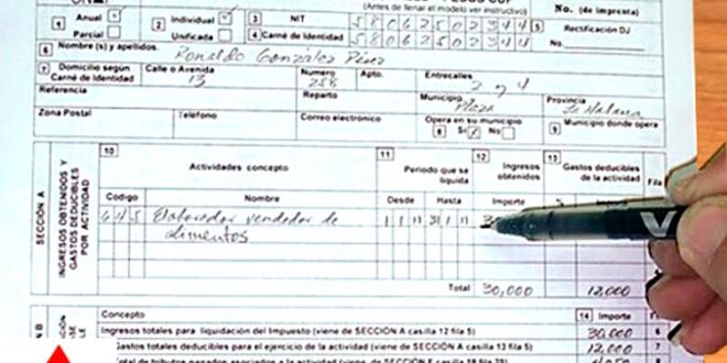 Detalla la ONAT elementos de la Declaración jurada